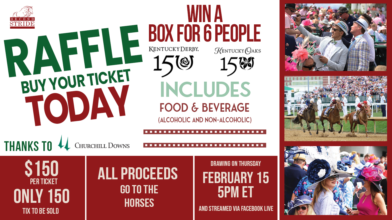 Donate a Horse | Second Stride Inc.