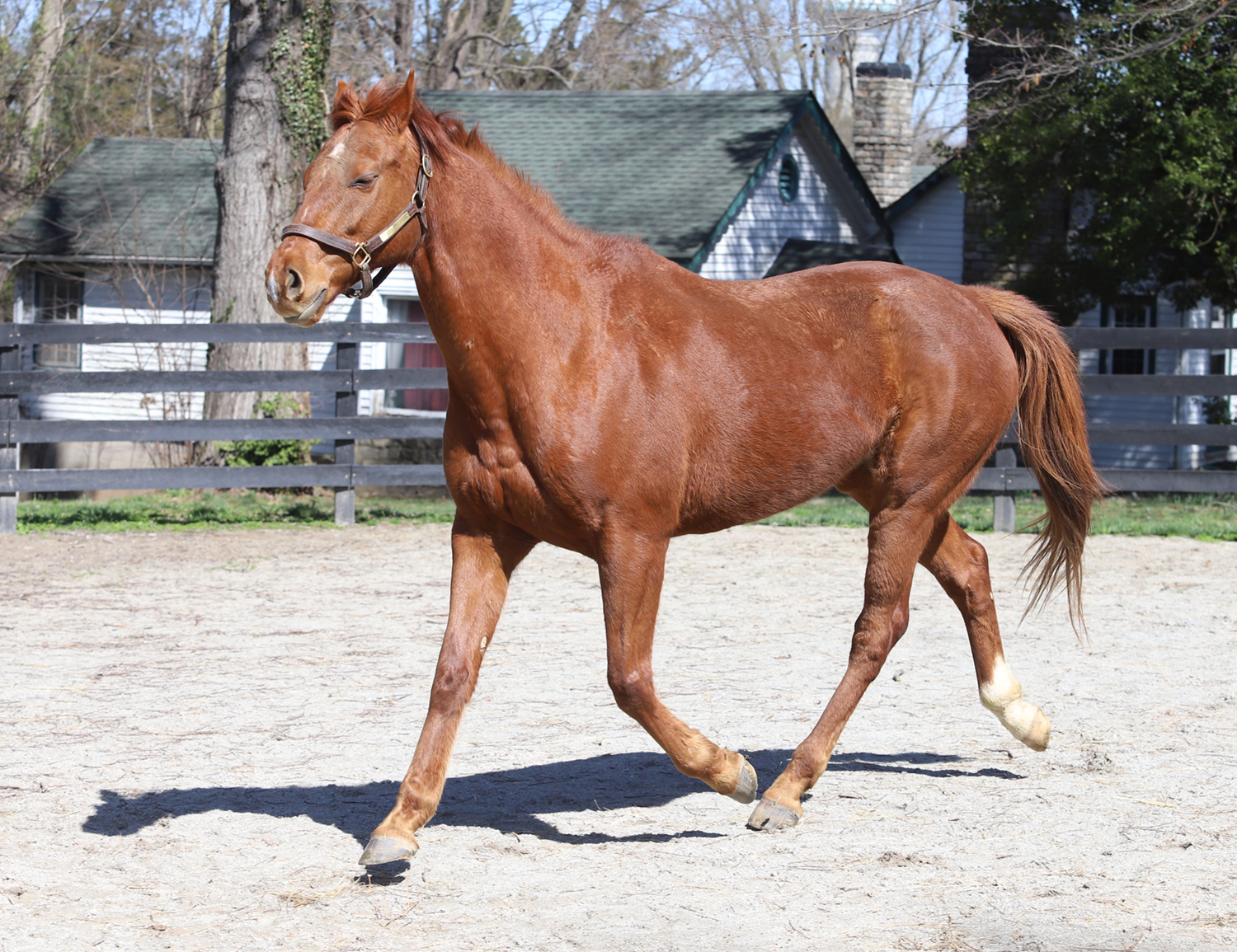 Garrick Second Stride Inc 