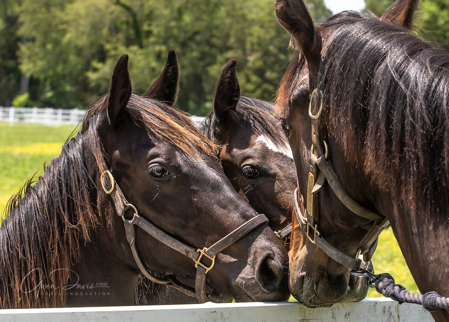 Tour | Second Stride Inc.