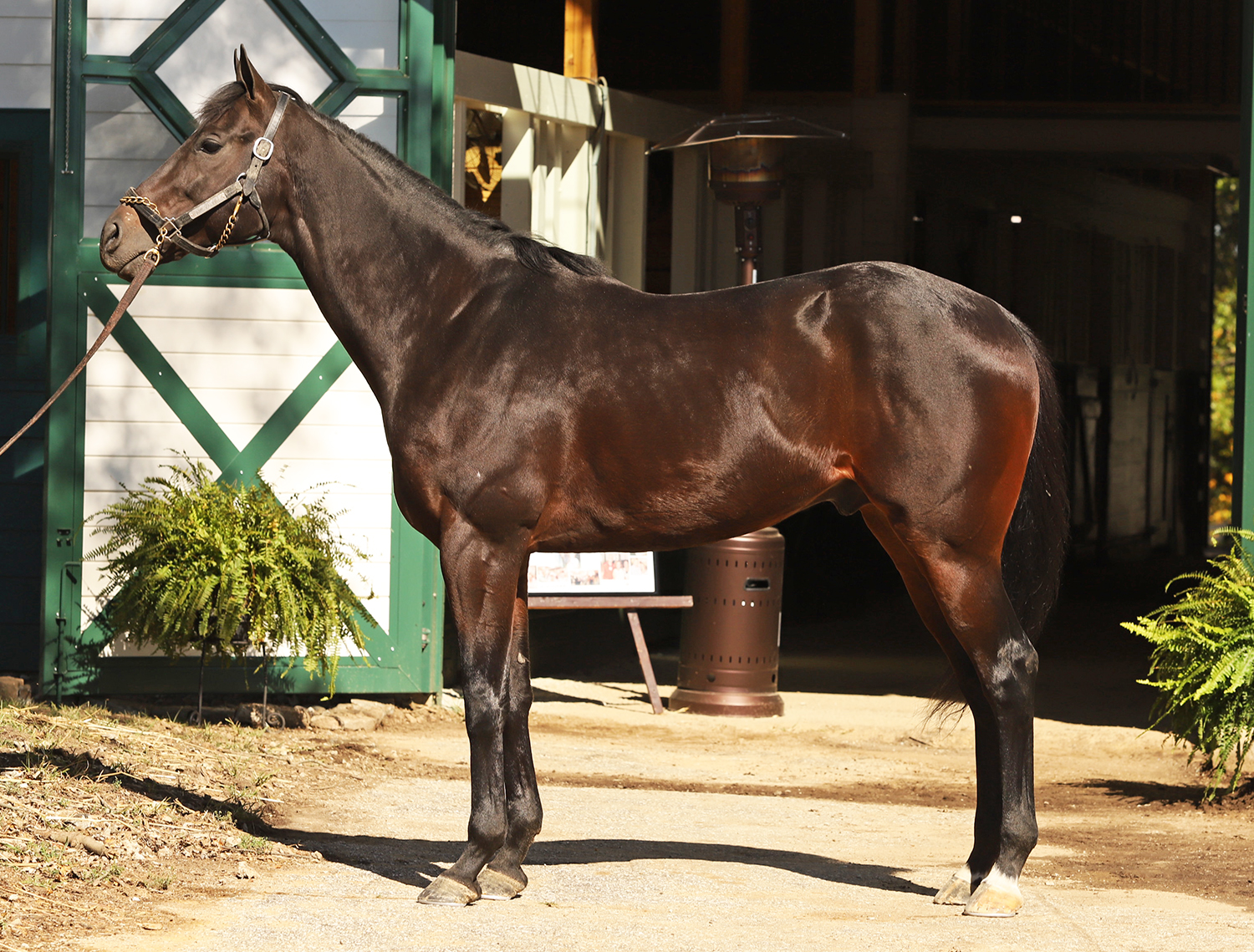 Second Stride Inc. | 501 (c) (3) non-profit organization for retired ...