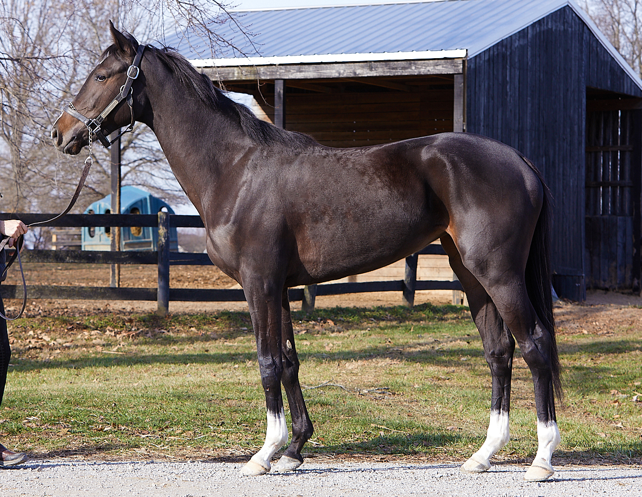 Charming Cosette aka Cozy | Second Stride Inc.