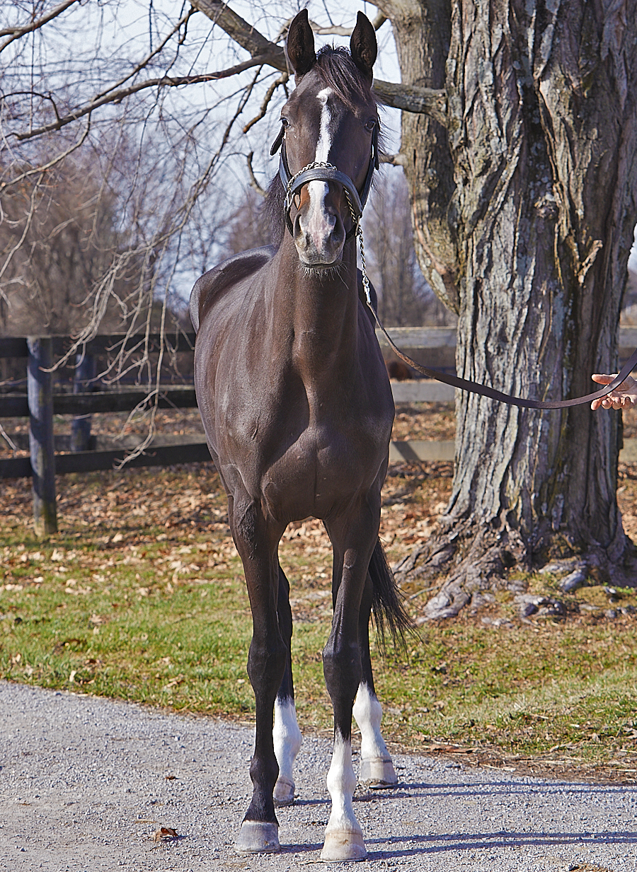 Charming Cosette aka Cozy | Second Stride Inc.