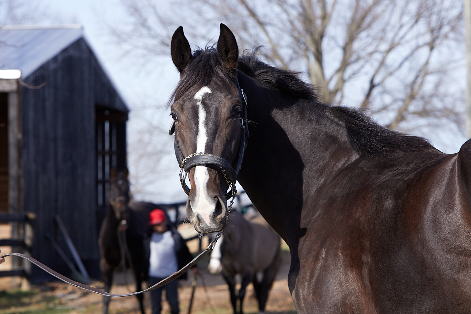 Charming Cosette aka Cozy | Second Stride Inc.